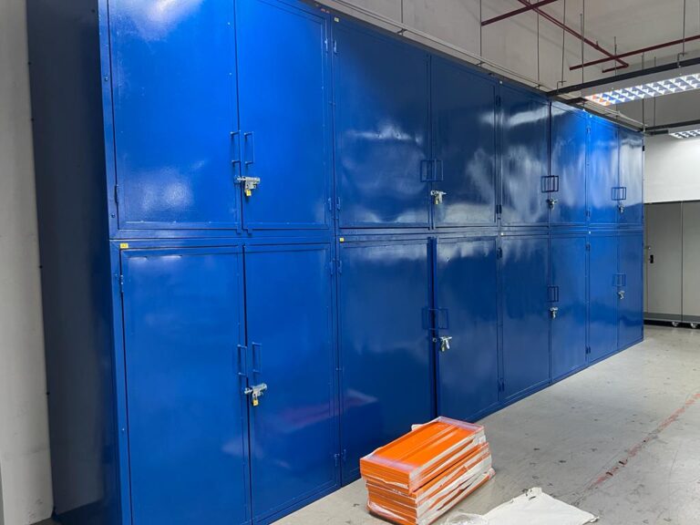 Customised Rack with Doors - Advancestorage.sg